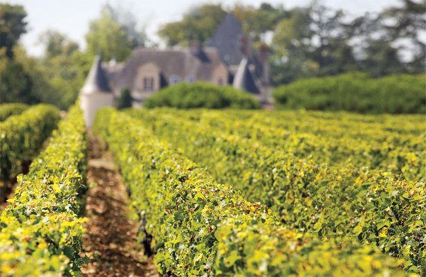 What is First Growth Bordeaux? (The 5 Splendid Chateaux and Best Wines)