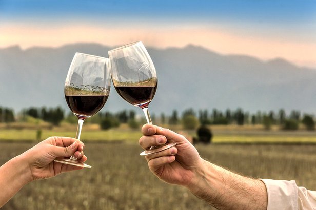 Malbec vs Merlot: 9 Significant Differences