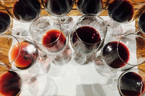 Cabernet Sauvignon vs Merlot: 9 Key Differences & Similarities