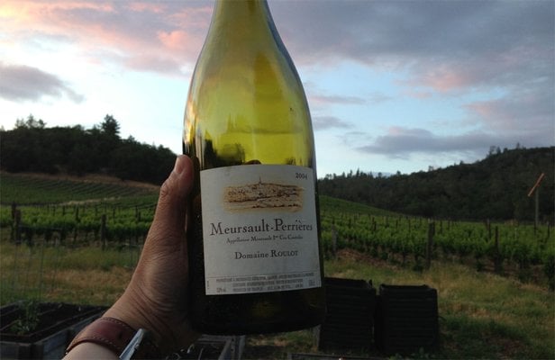 Domaine Roulot, Burgundy: 10 Best Wines To Buy, Tasting Notes (2024)