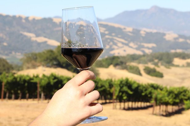 101 Wine Definitions That Will Make You A Wine Pro